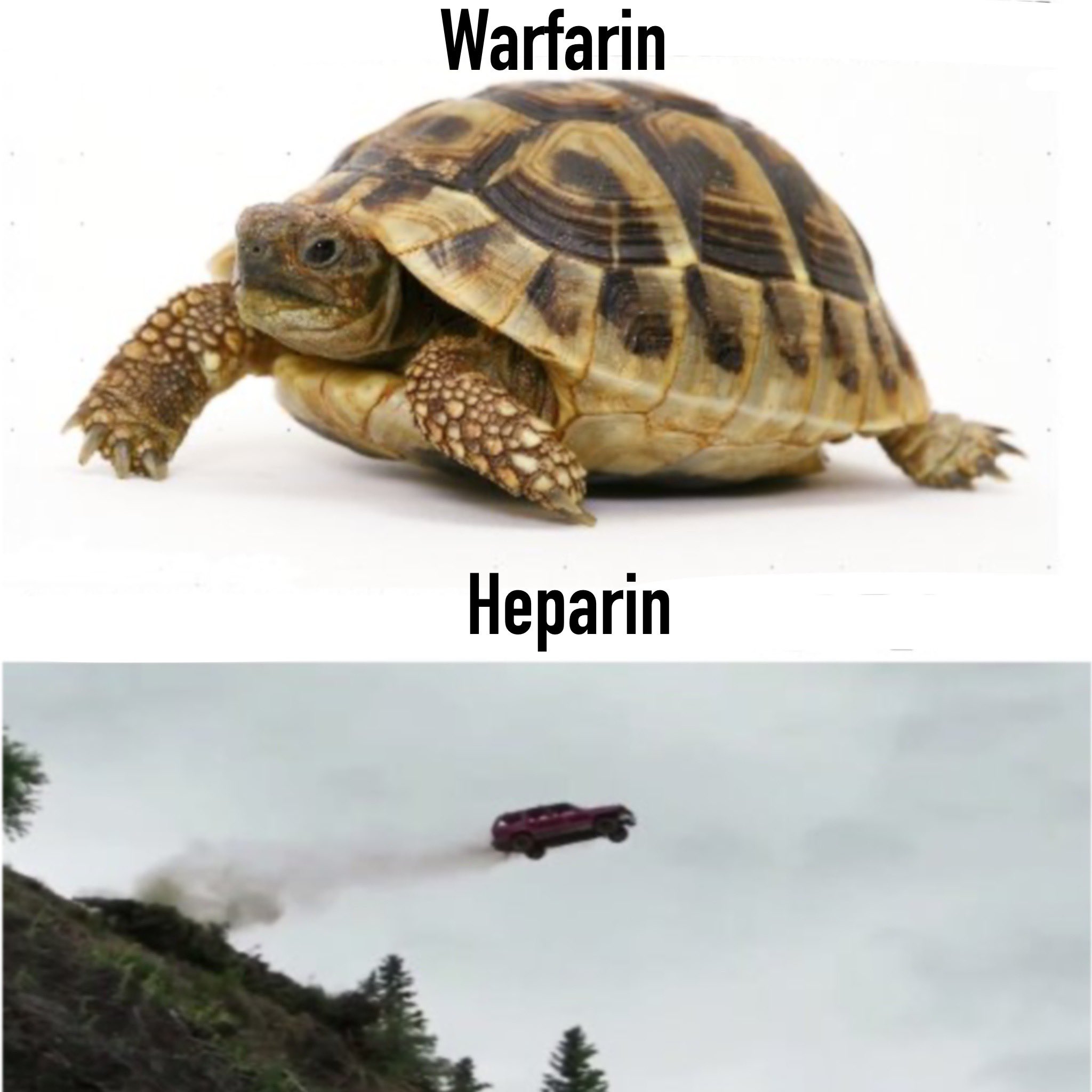 Heparin Memes High Risk Medications A PINCH Portrait Wall Sign