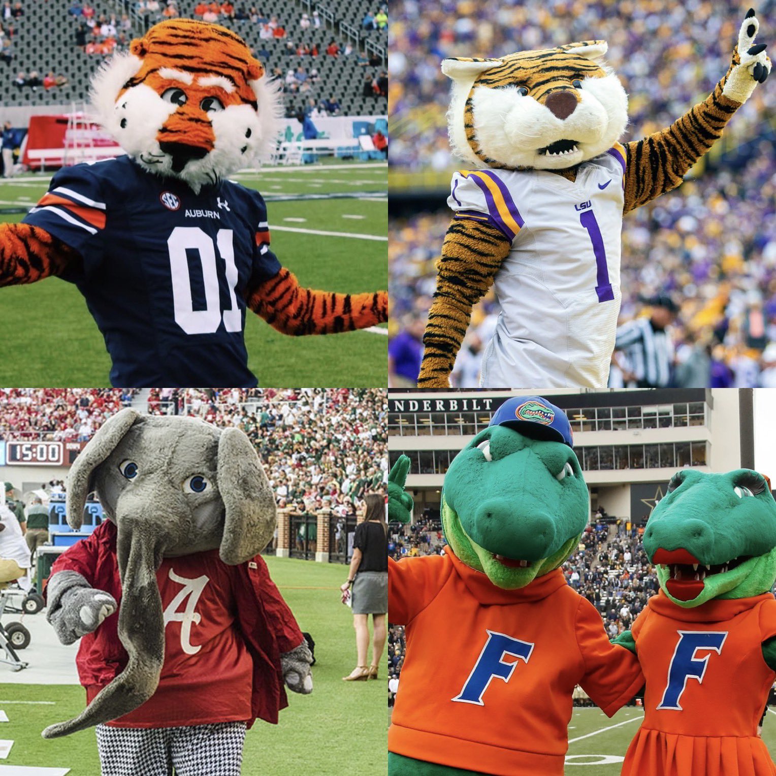 Su Mascot