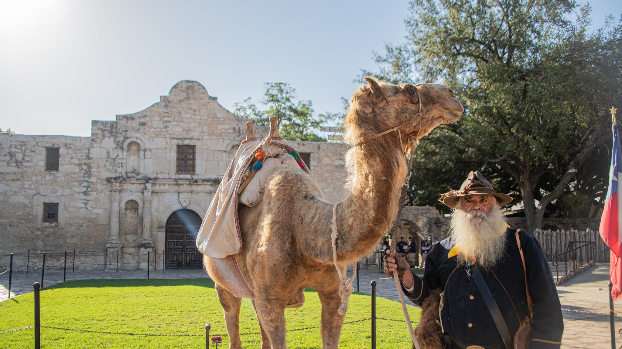 The Camel Corps Why Did The Us Army Bring Camels To Texas The U.S.