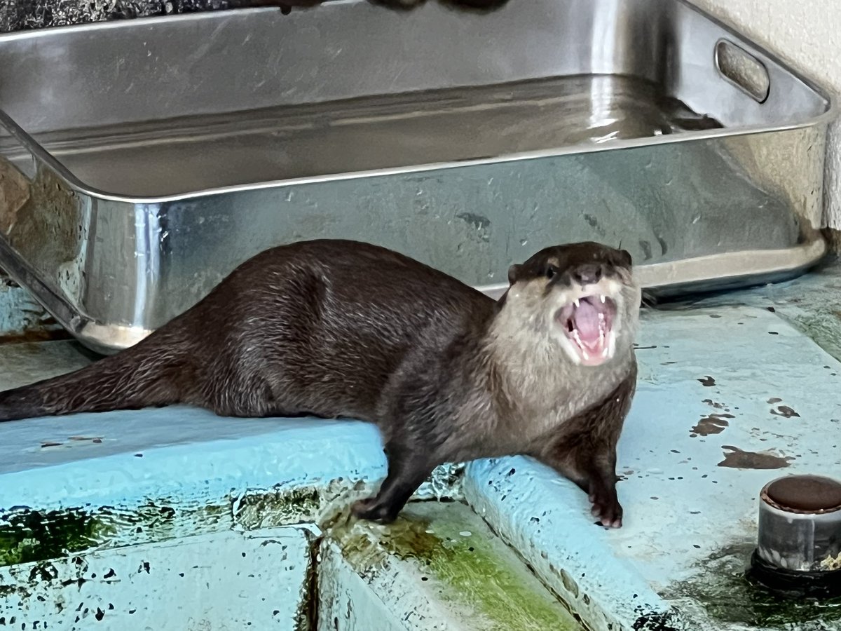 RTB(@ryotback) - Twilog