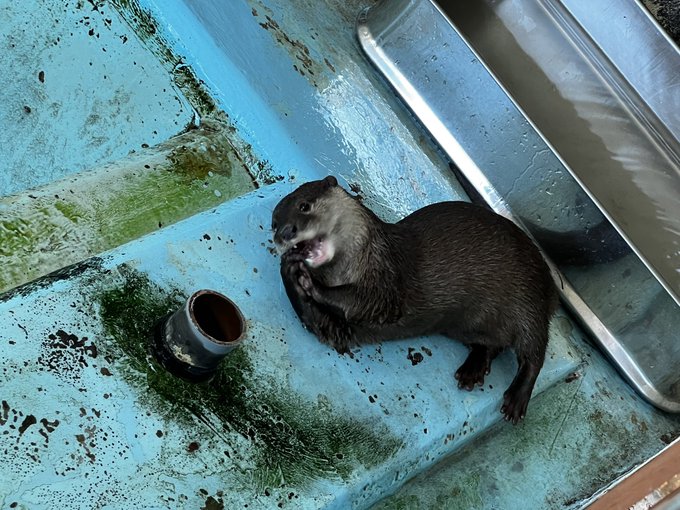 RTB(@ryotback) - Twilog