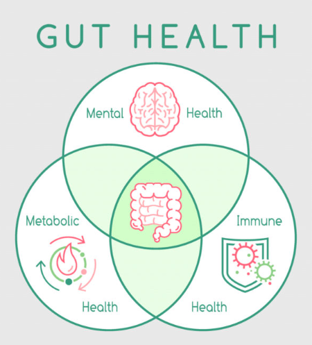 7 dead-simple steps to correct your gut health in 7 days (naturally ...