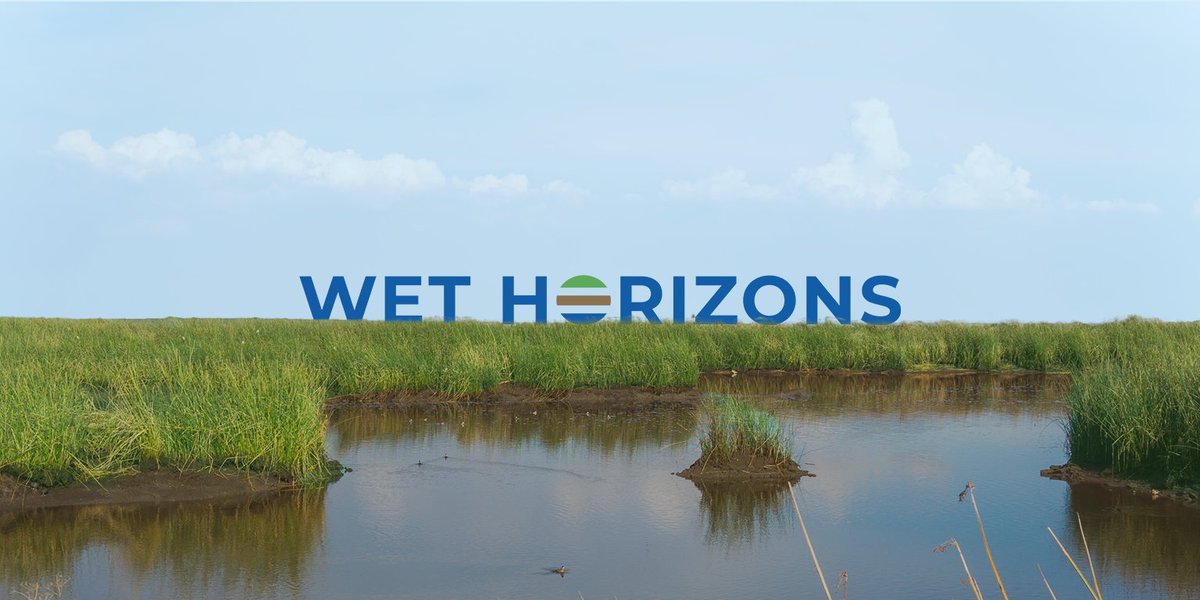 Wet Horizons - Improving wetland knowledge and developing tools to ...