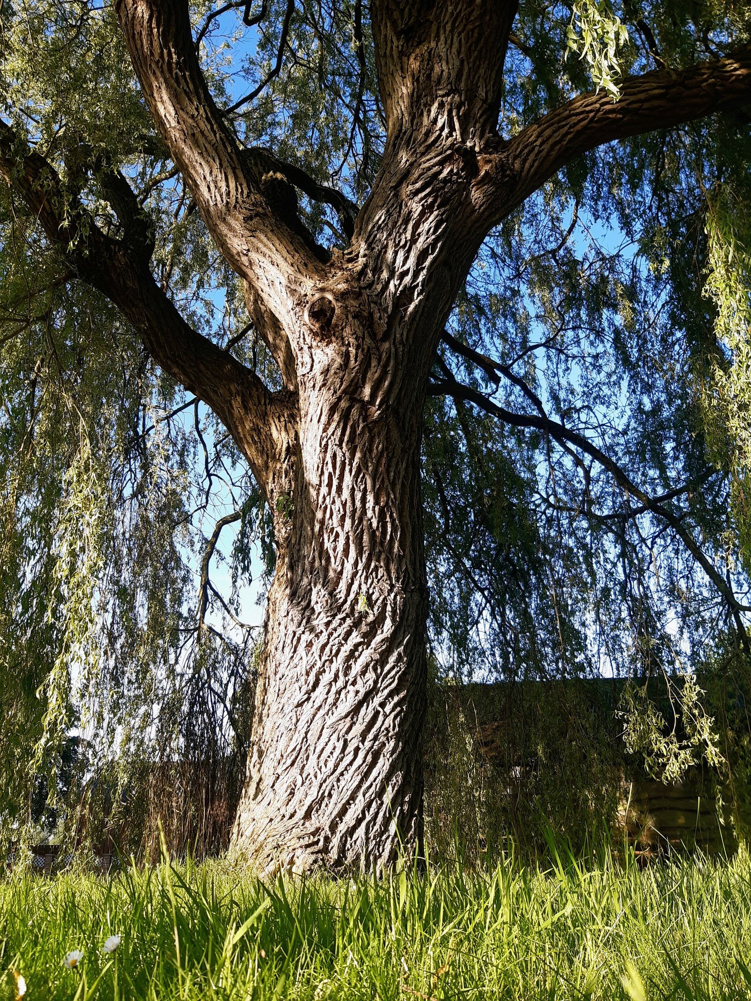 Examples Of Circles In Nature