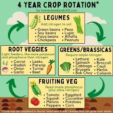 FARM LESSON: CROP ROTATION (Definition, Importance and Considerations ...