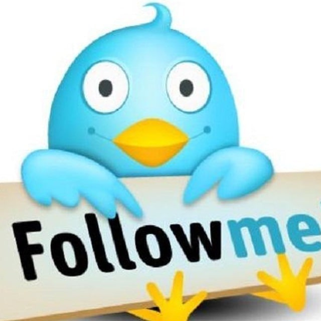 Twitter Follow Me Icon