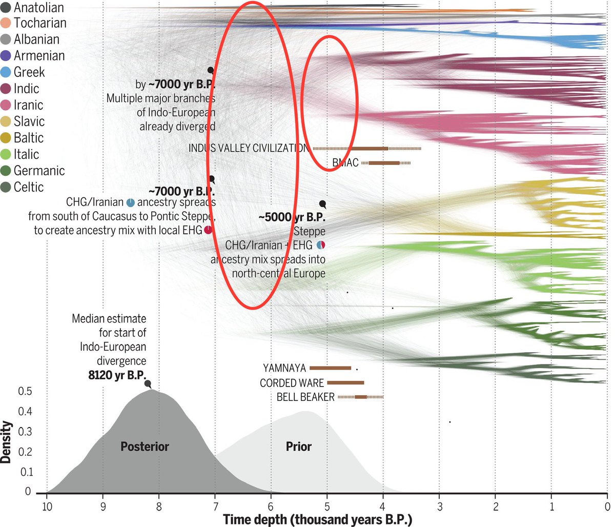 That’s not at all what it says. Not even close, but nice try ...