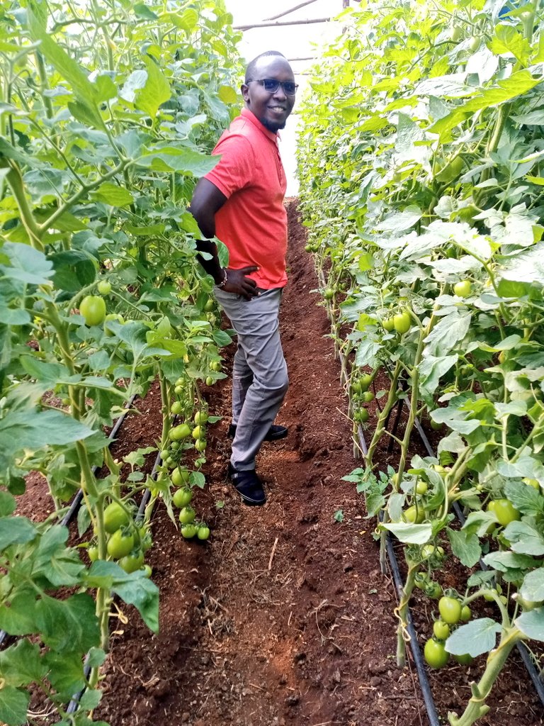 Choose an ambition that scares you. But your determination should be ...