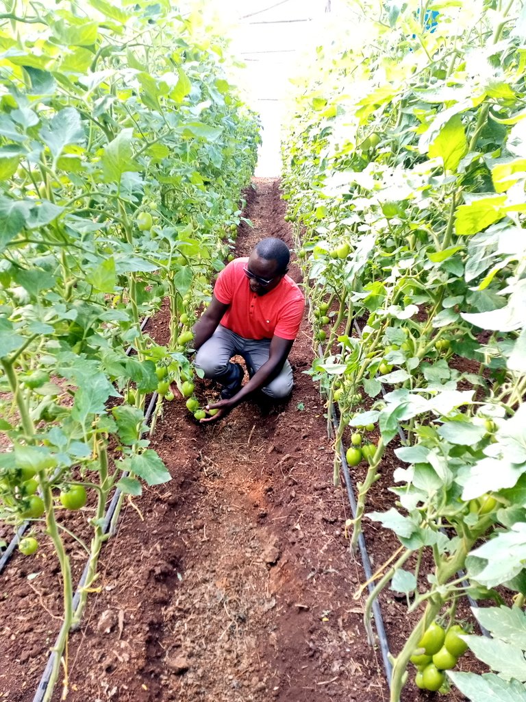 Choose an ambition that scares you. But your determination should be ...