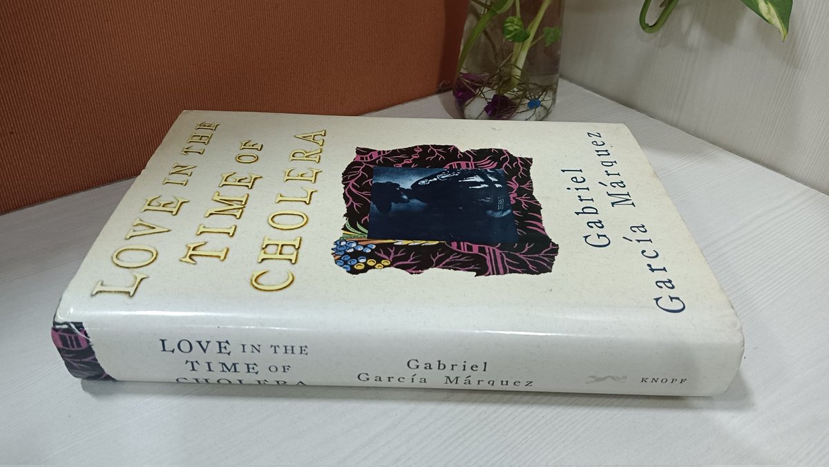 Love In The Time Of Cholera Serendipity