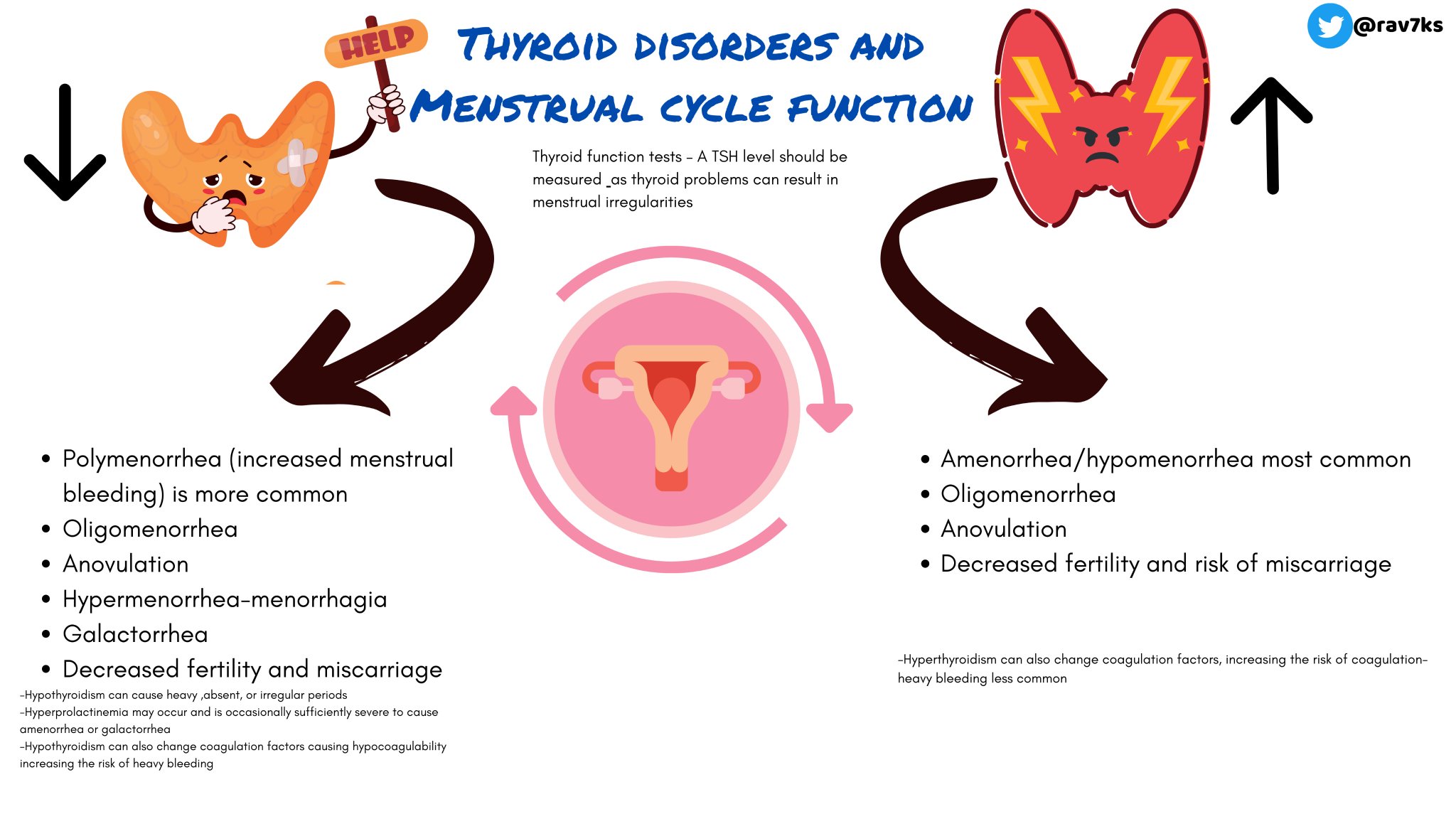 Thyroid Menstrual Cycle Problems