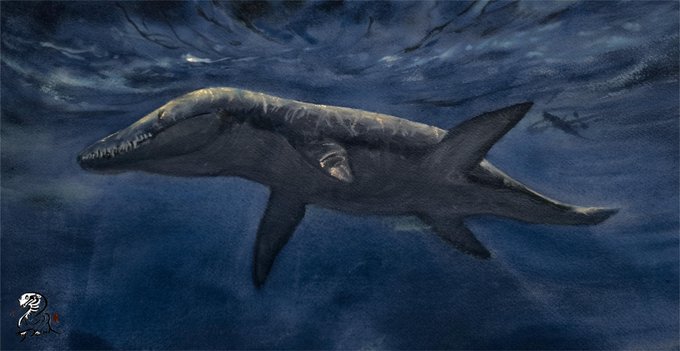 Baols (@zihanshen115982) さんのイラスト・マンガ作品まとめ (25 件) - Twoucan