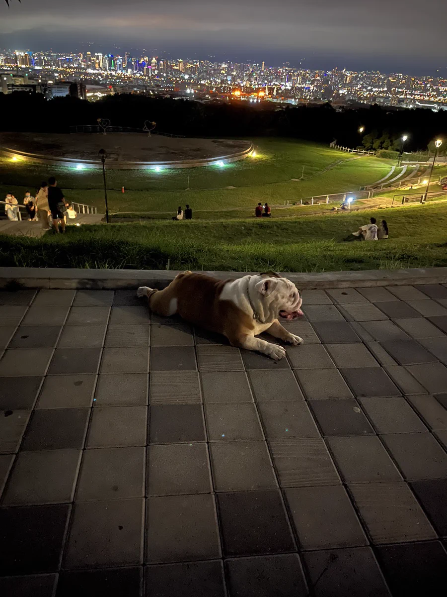 吳夢夢Mona Wu 🇹🇼(@Monmon_tw ):帶金寶來望高寮走走 出門就開始掰咖的熟齡金寶