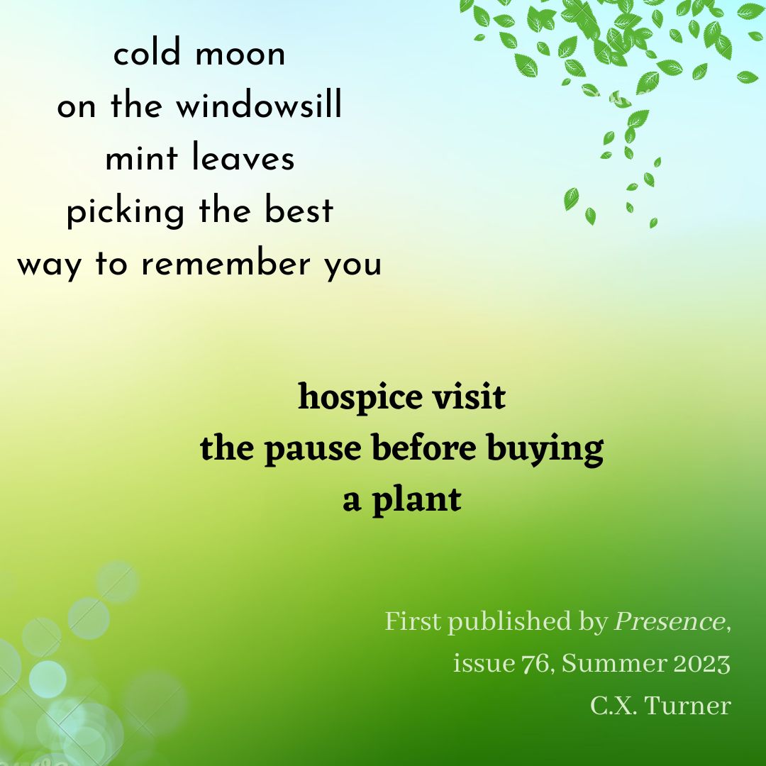 Tanka Poems About Summer