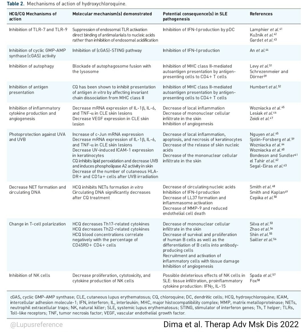 The importance of World Lupus Day - Lupus Europe