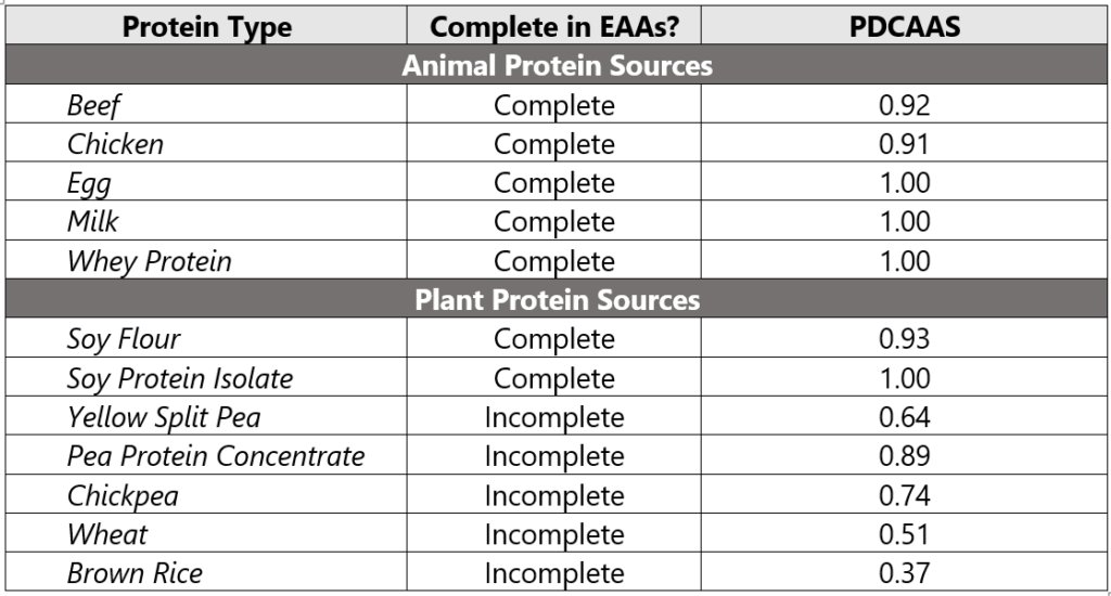 The ULTIMATE THREAD on why PLANT BASED diets are BS From a nutritional ...