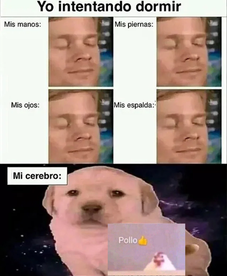 Piernas De Pollo Memes Crazy Funny Mujeres Chicas Pollo Piernas Medias