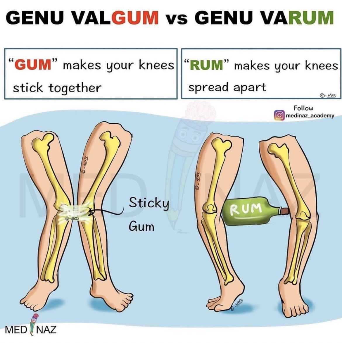 Q Angle Genu Valgum Anatomy of Anterior thigh