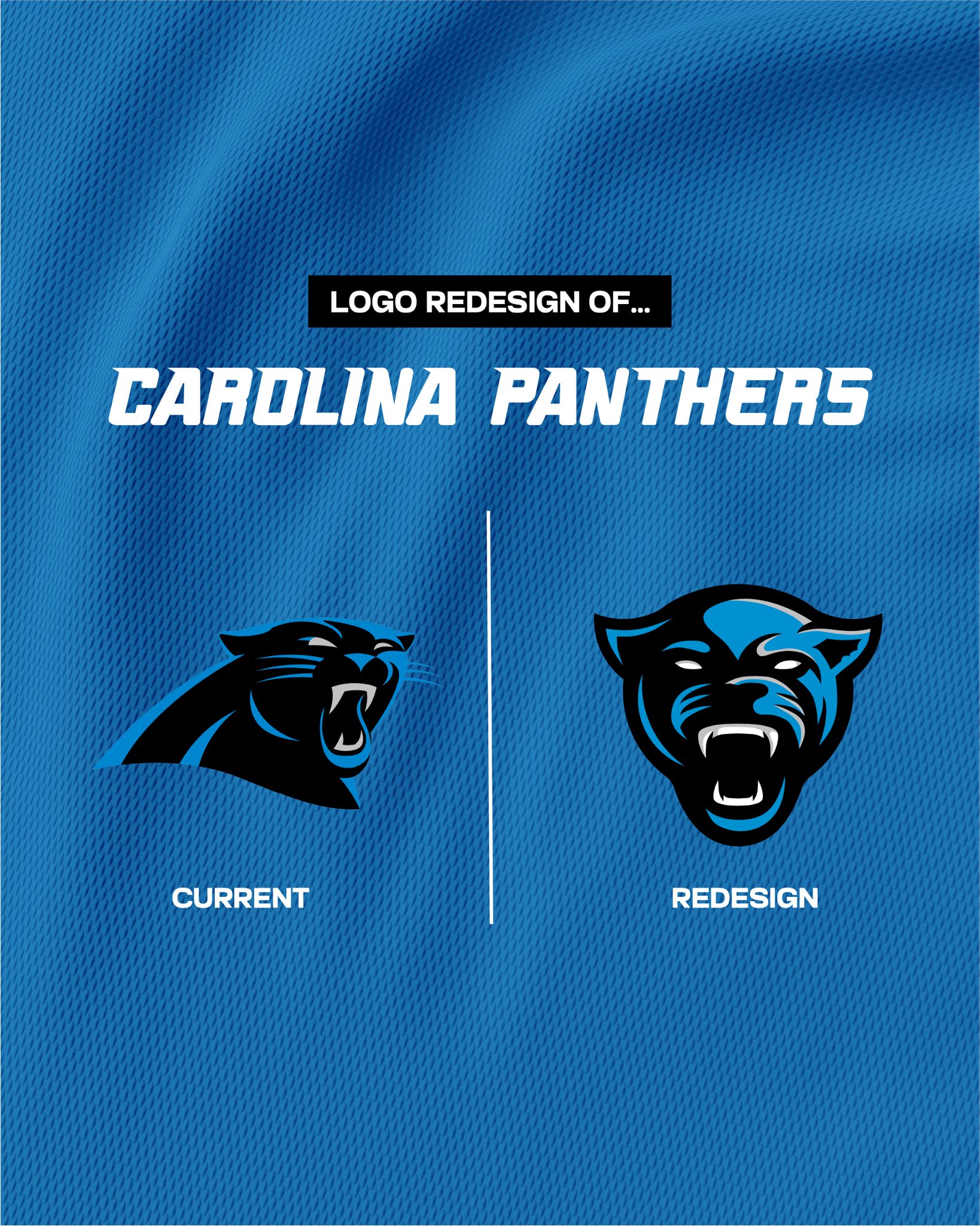 Panthers Old Logo