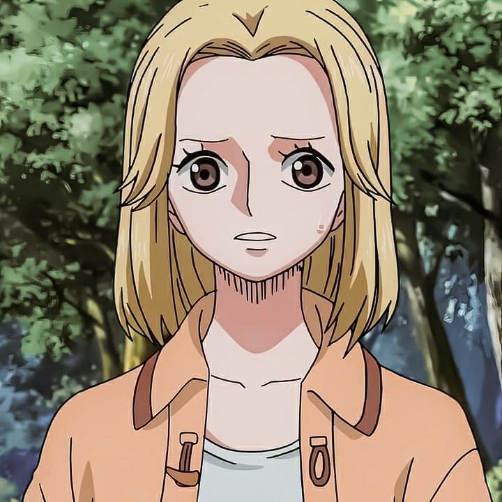 One Piece Usopp And Kaya