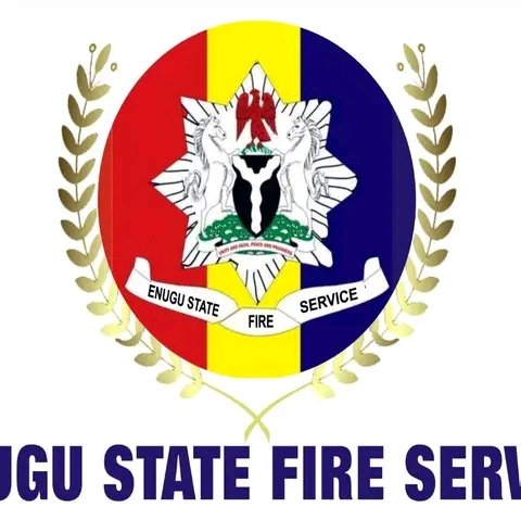 Nigeria Fire Service Logo