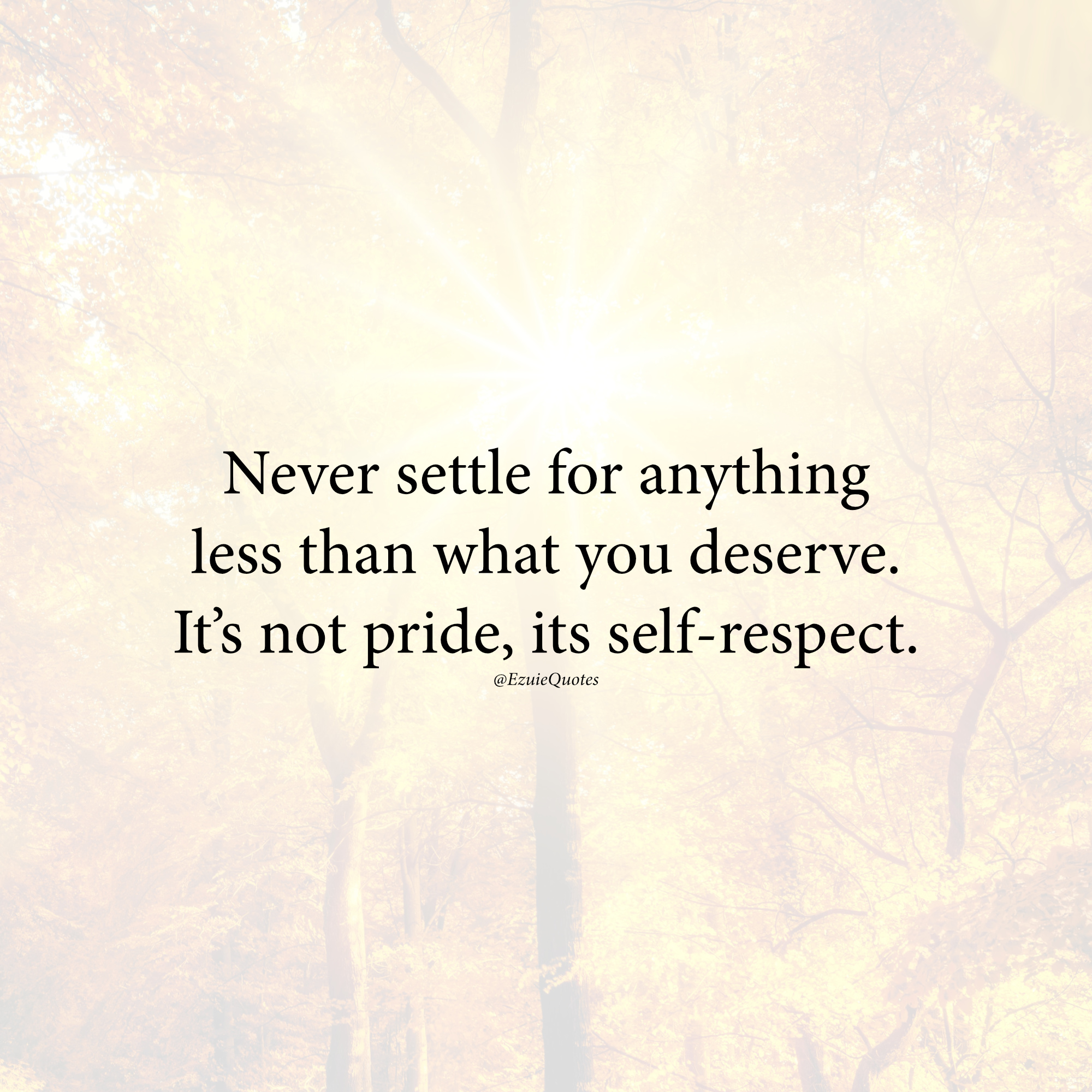 Never Settle For Less Than You Deserve Quotes Don't Settle For Less