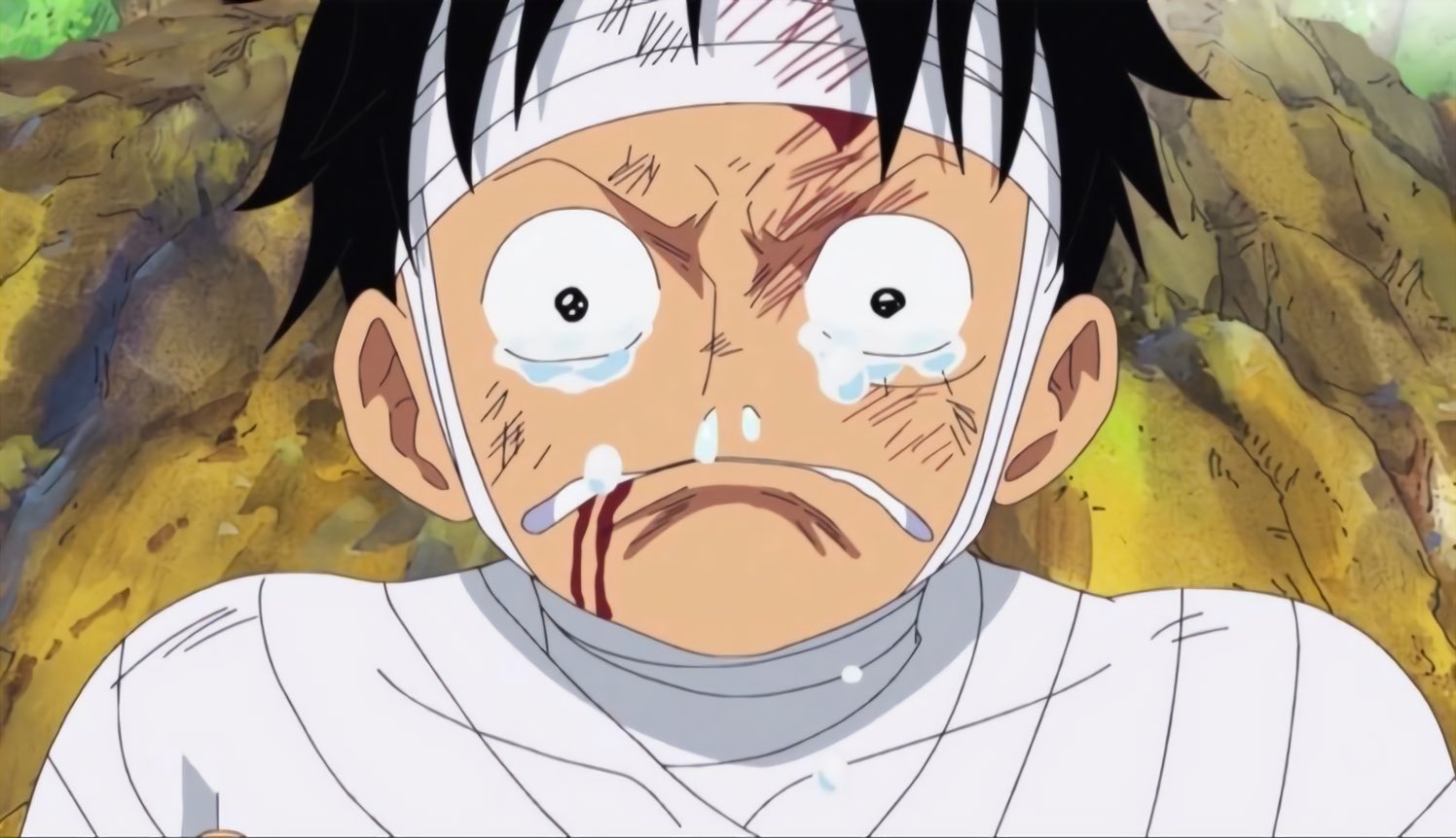 One Piece Luffy Crying Gallery