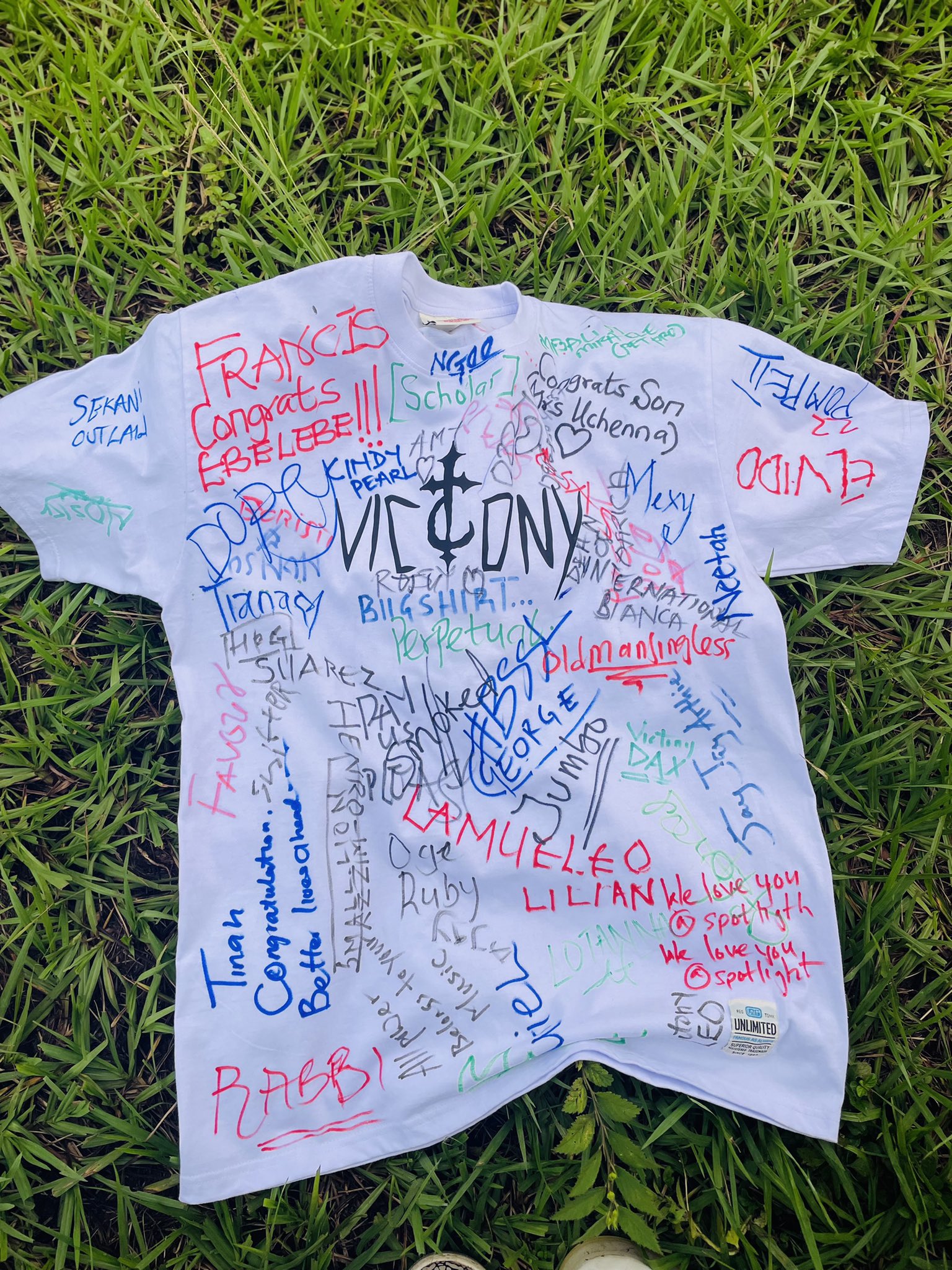 T Shirt Book Report Project Virtual Clothesline Project | R.I.S.E.