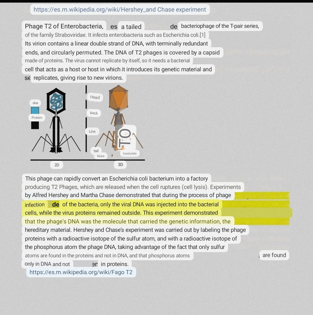 @DlakaDarko @Kevin_McKernan @mlperk1 @Jikkyleaks @robstonge11 @stkirsch @VacSafety @jjcouey ...