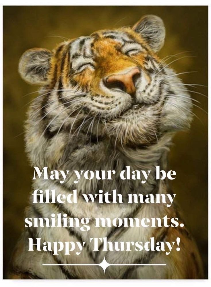Good Morning Have A Wonderful Thursday