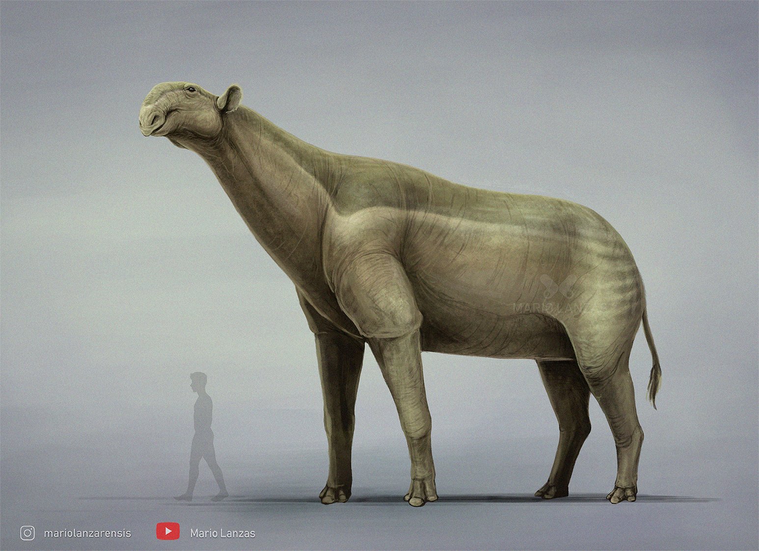 Paraceratherium Paraceratherium: Rhinos Dispersed Across South,
