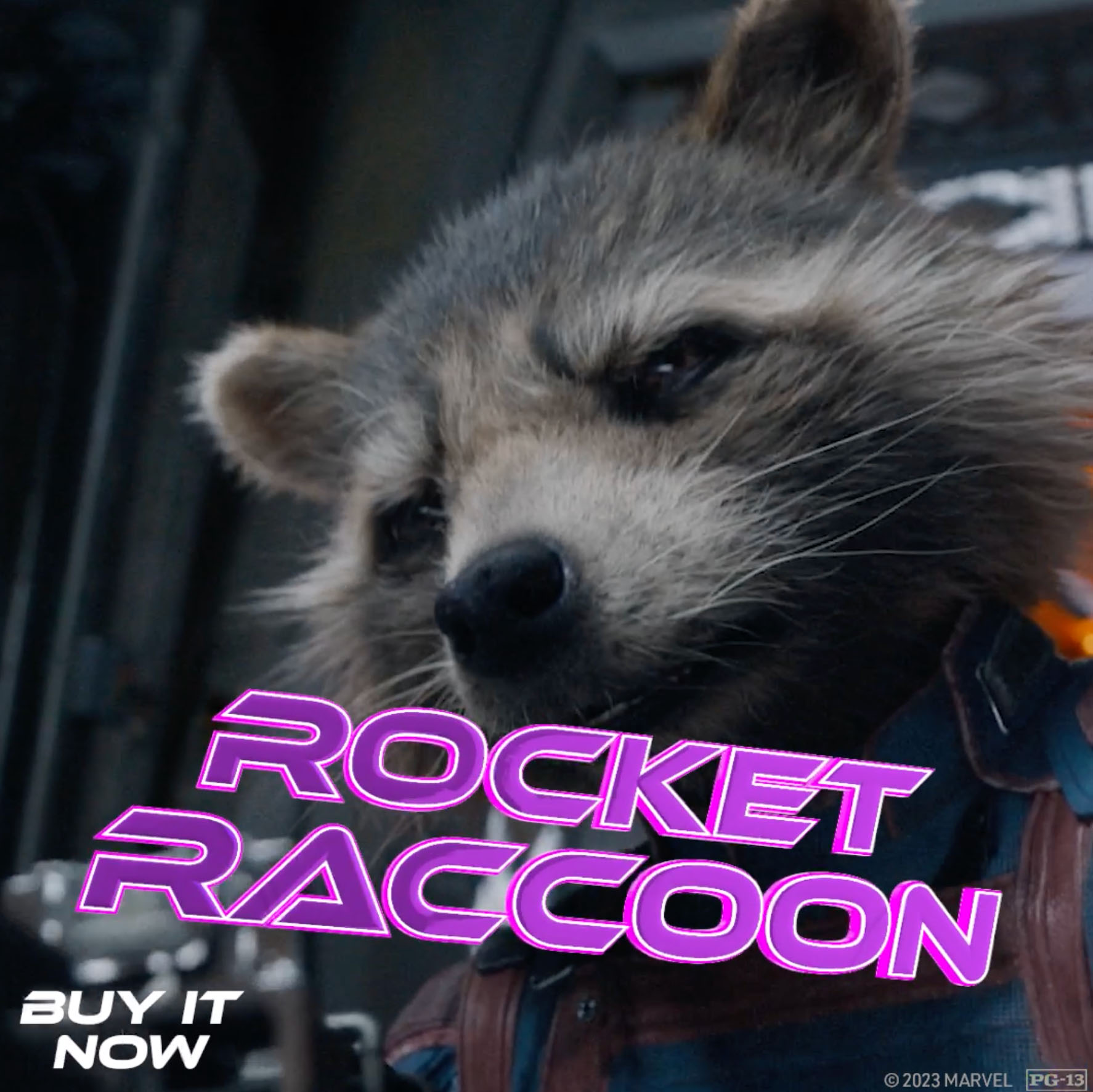Marvel Raccoon