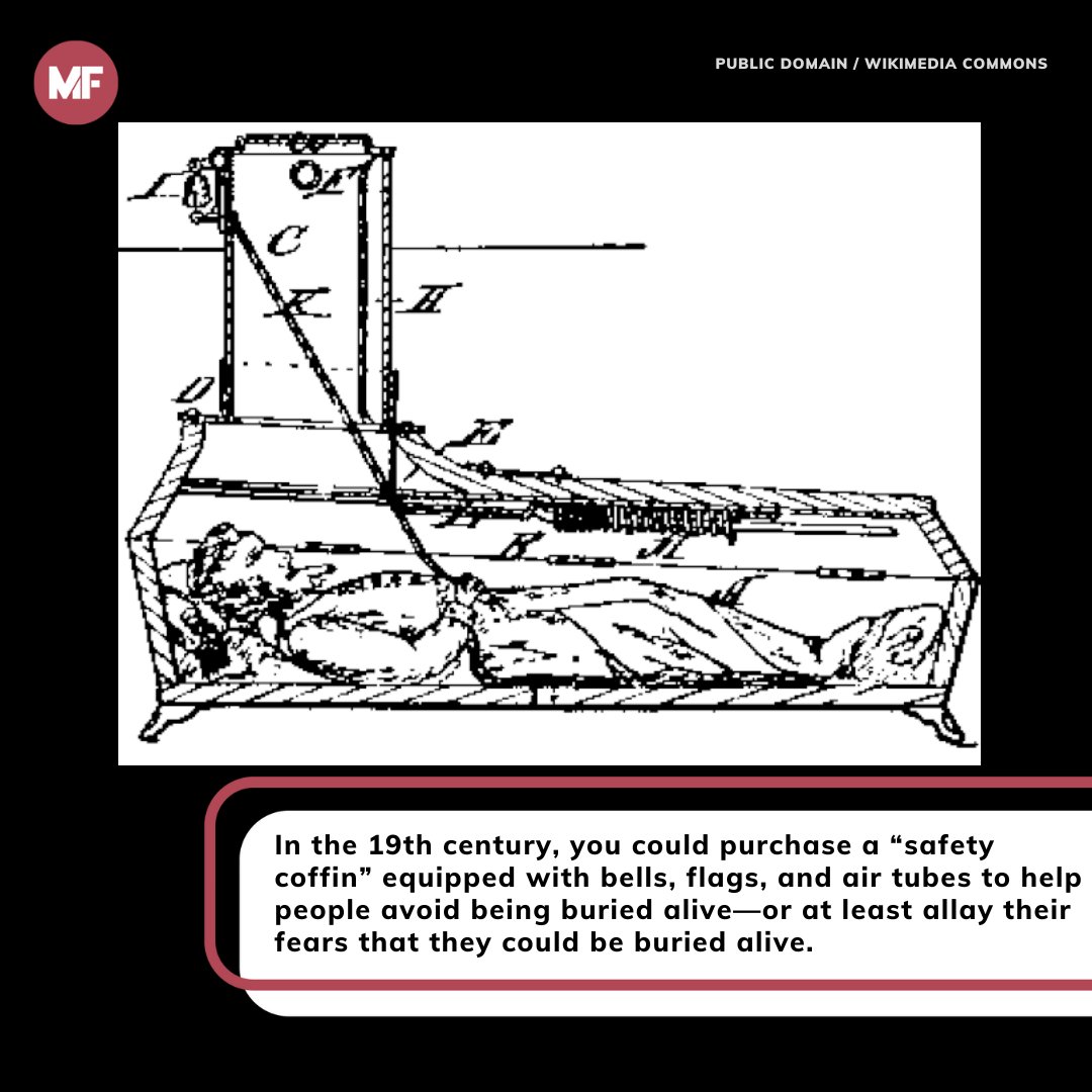 Fear Of Being Buried Alive