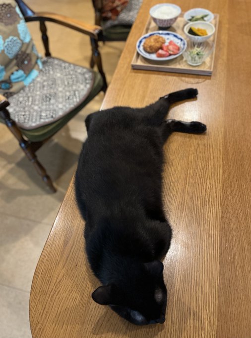 azukKi(@azukki_) - Twilog