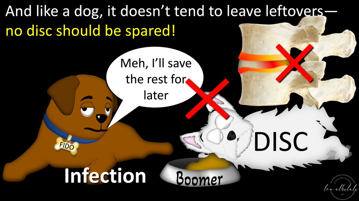 1/Diagnosing discitis can be a pain in the backside! When it’s easy, it ...