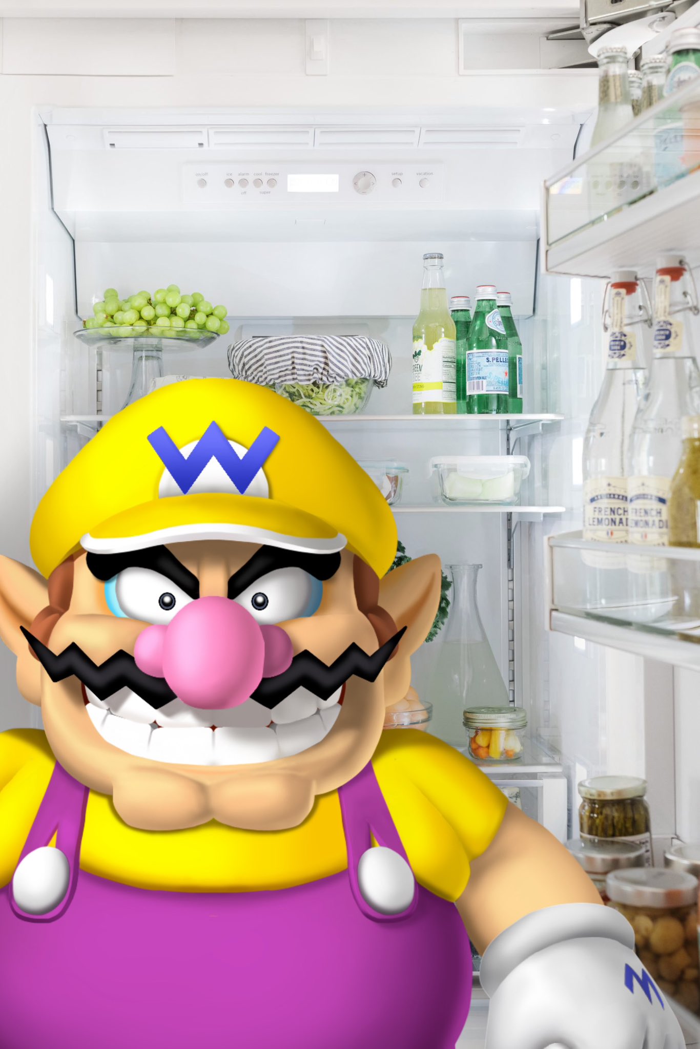 Ice Wario