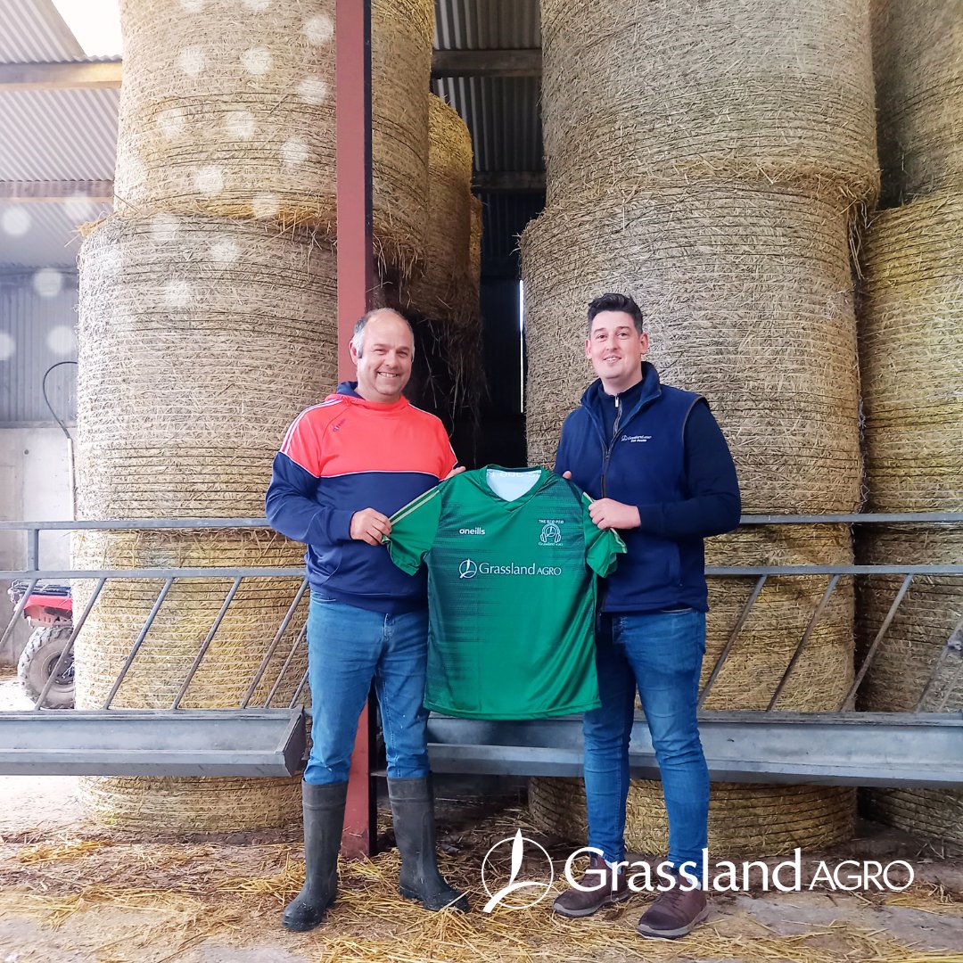 Mike Bermingham @MikeBermingham2 X Profile | Muskviewer