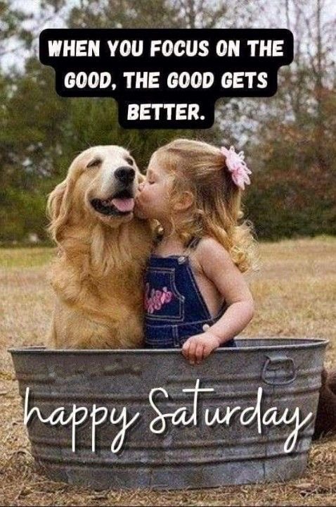 Happy Saturday Dog