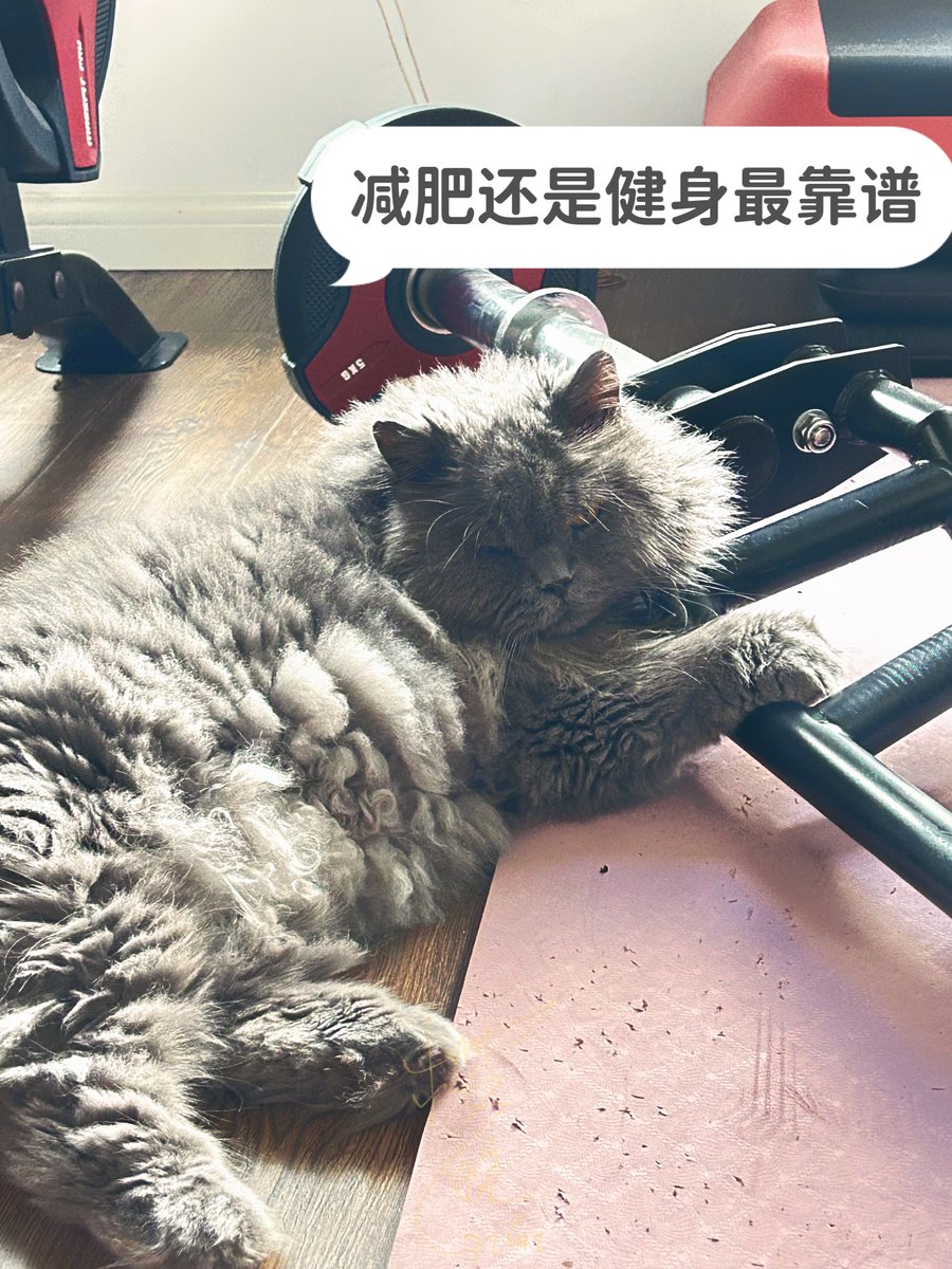 樱晚GiGi (@GiGiyingwan) / Posts / X