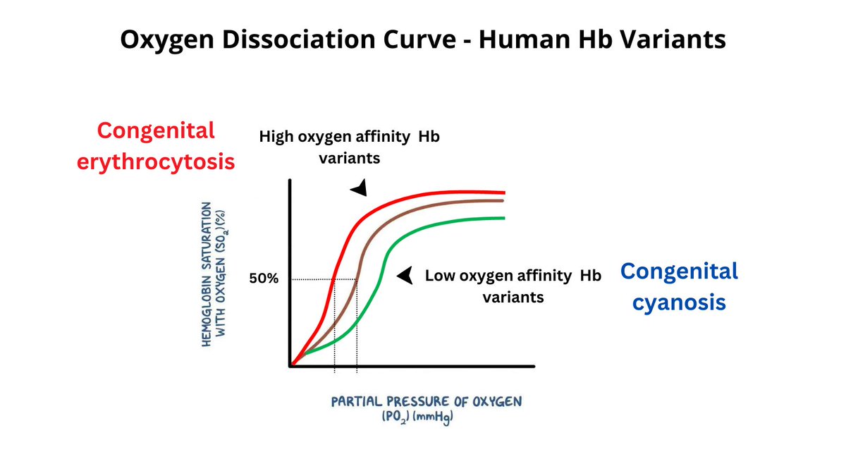 1 8 Notes On Oxygen Dissociation Odc Curve The Sigmoidal Odc Curve Correlates The Oxygen