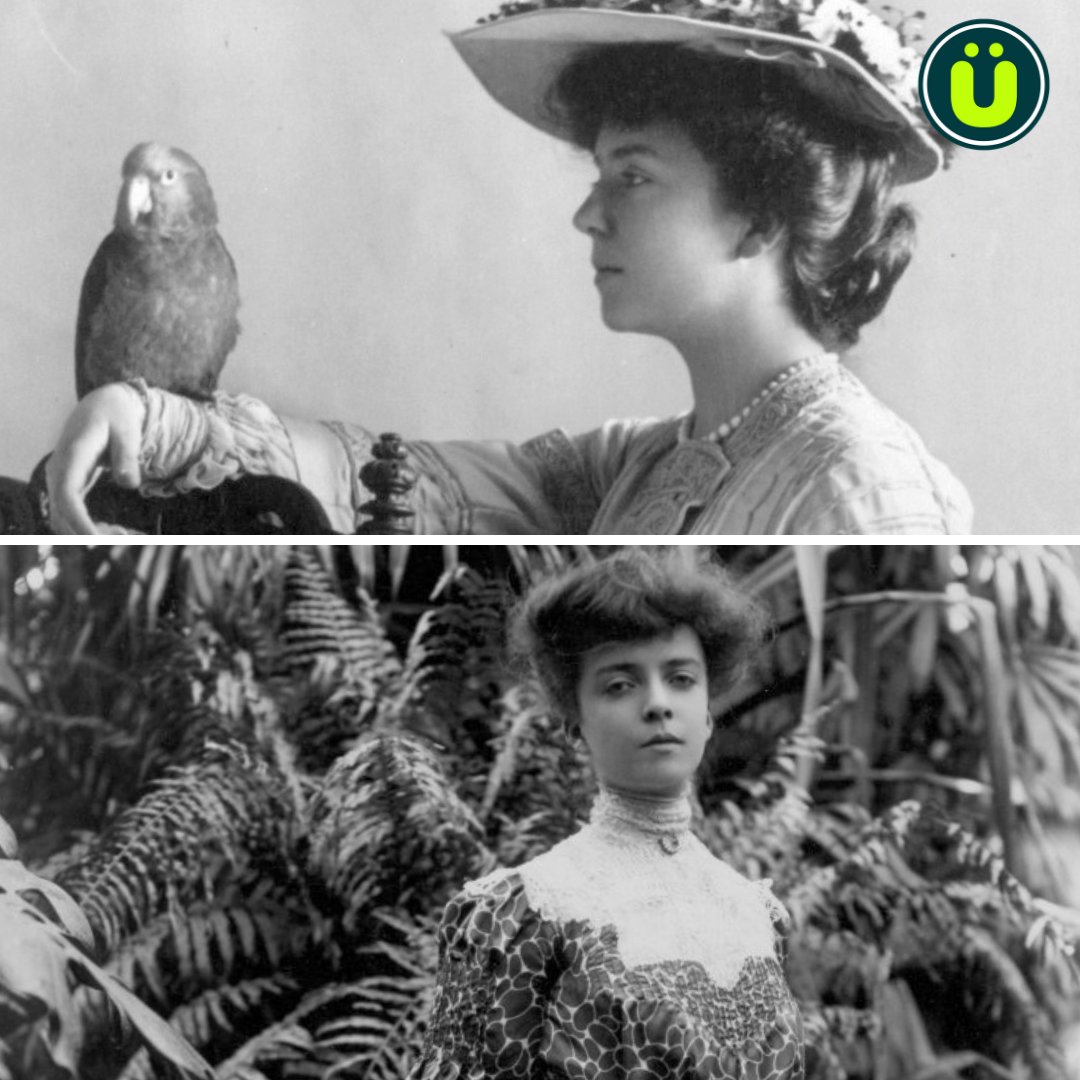 Alice Roosevelt Snake