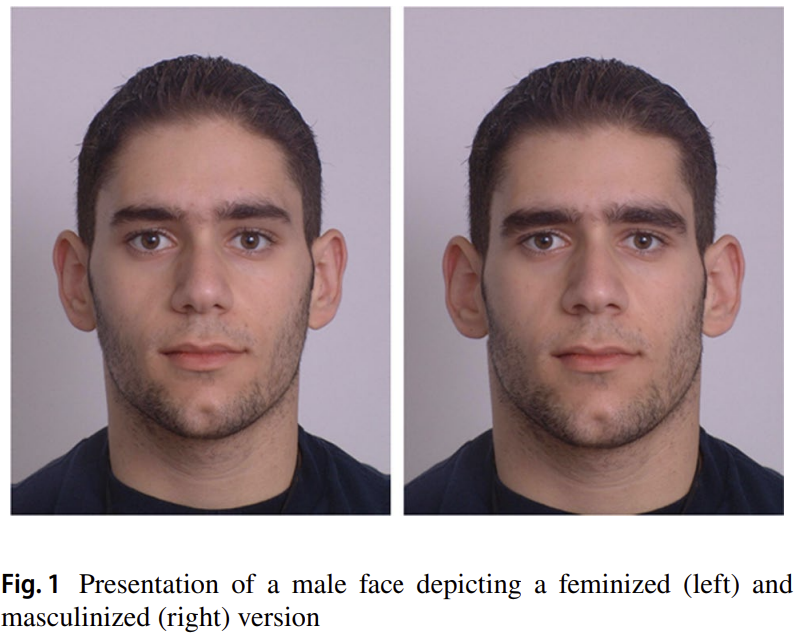 Feminine Man Face