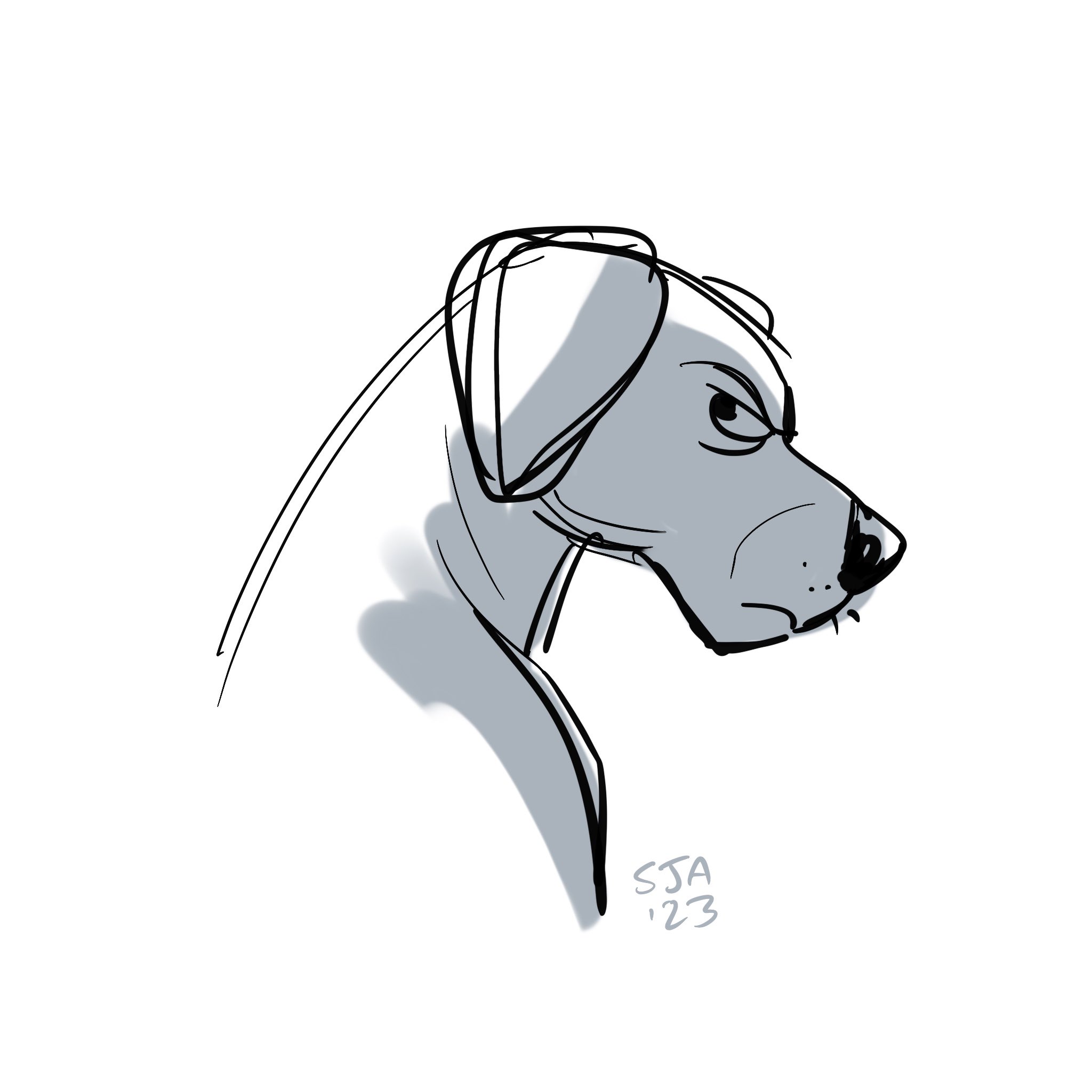 Dog Head Side View