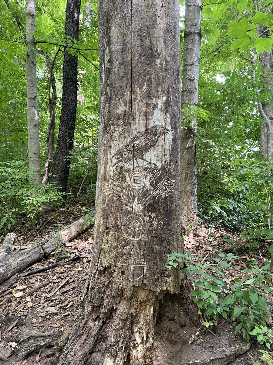 𝕸𝖔𝖙𝖍 @Moth_Sproutの漫画作品一覧(人気順)