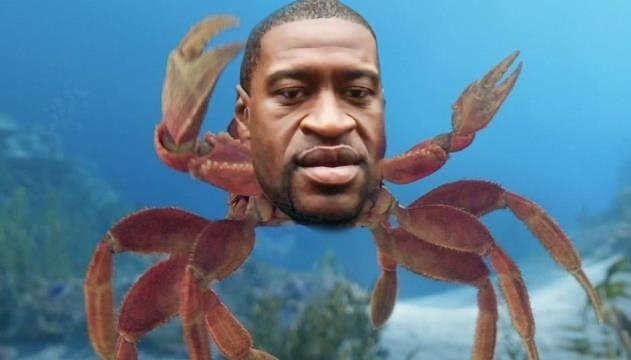 NASCAR Driver Suspended For "Liking" George Floyd Meme. - 24hourcampfire