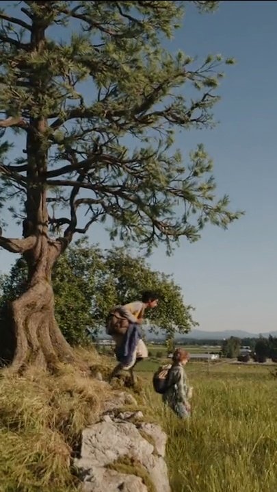 Percy Jackson Thalias Tree