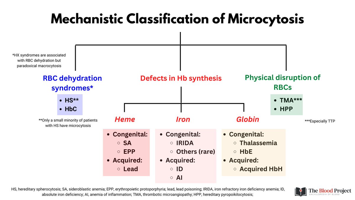 Microcytosis