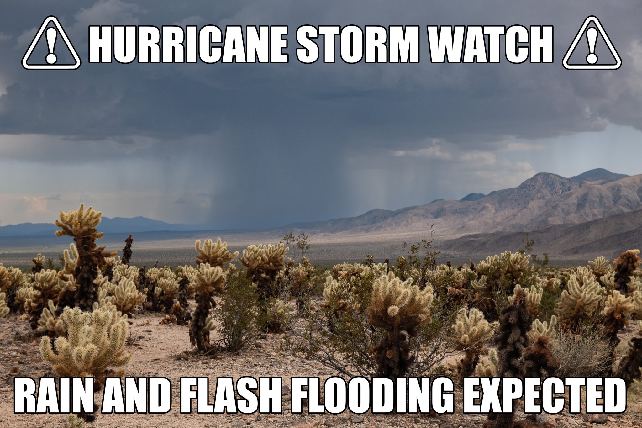 Phoenix Rain Memes Yes Imgflip