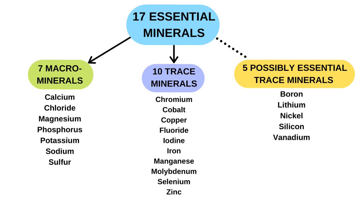Minerals are the root of your health - they’re needed to carry out ...