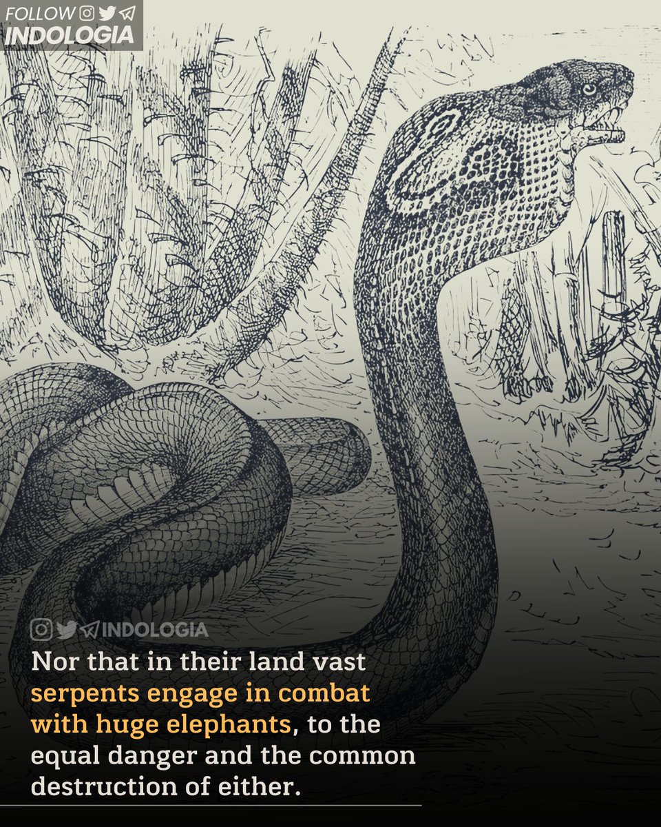 The ancient Greeks had a special affinity for the Hindus #Indologia ...